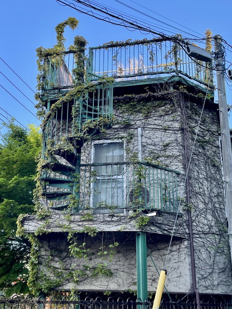 ツタハウス: FROG☆WORKS雑記帳