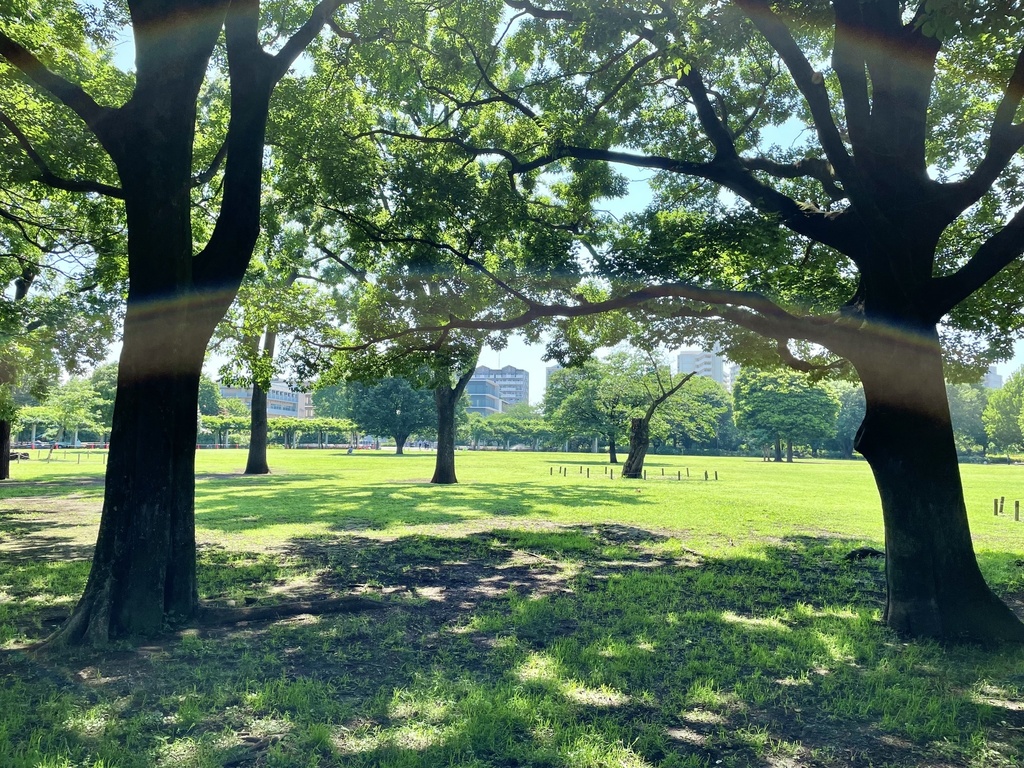 公園: FROG☆WORKS雑記帳