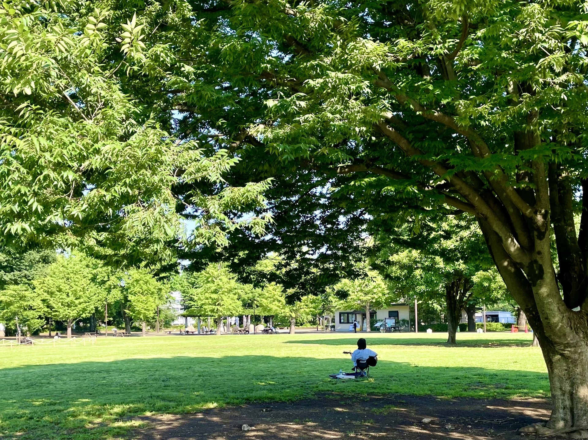 公園: FROG☆WORKS雑記帳